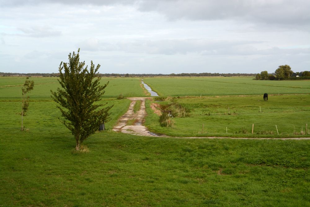 Het zeekleilandschap | Landschap Overijssel